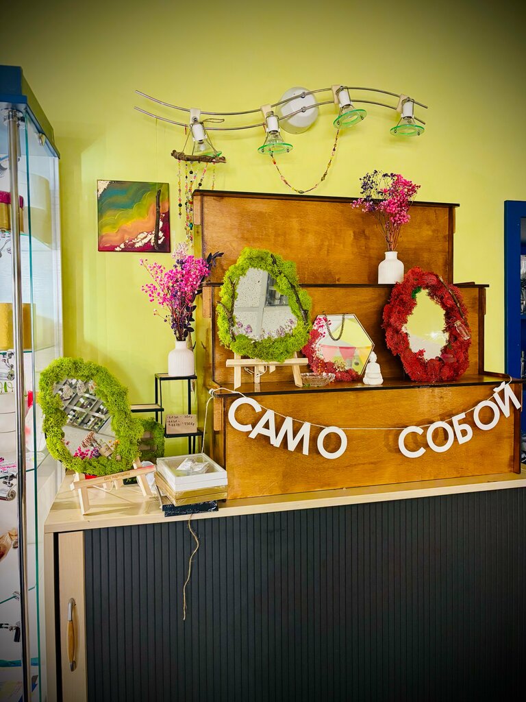 Meslek kursları Само Собой, Saint‑Petersburg, foto