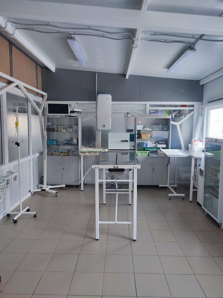 Veteriner klinikleri Ветеринарный госпиталь Подарок Судьбы, Ulyanovsk, foto