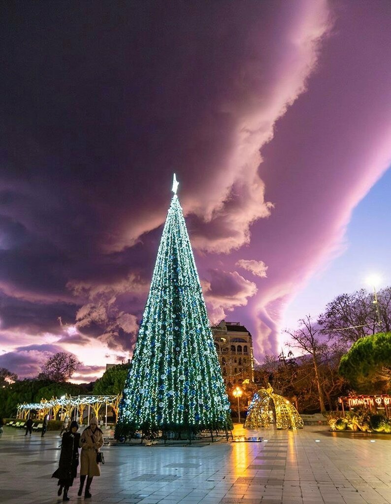 Şehrin yılbaşı ağacı Christmas tree, Yalta, foto