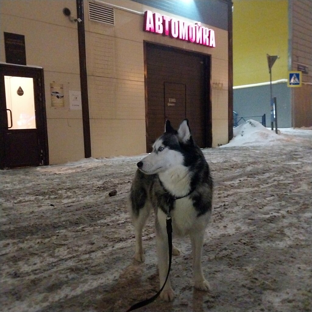 Oto yıkama Ehrle Kazan, Kazan, foto