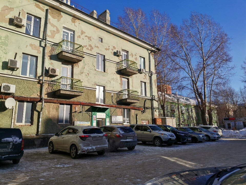 Berberler Добрыня, Novosibirsk, foto
