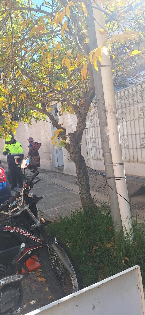 Hukuk büroları Fiscalia Zona Sur, La Paz, foto