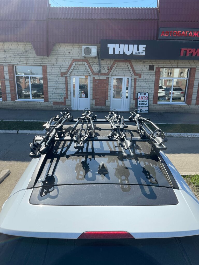 Tatil ve piknik için ürünler Weber Thule, Saratov, foto