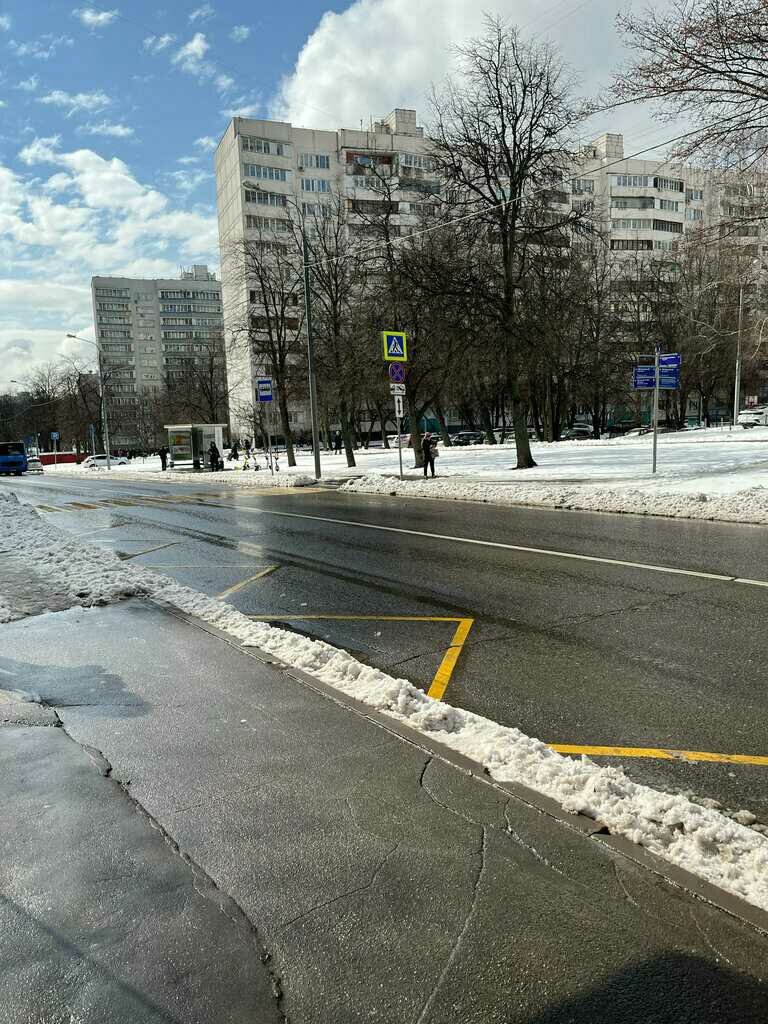 Toplu taşıma durağı Biryulevskaya Street, 58, Moskova, foto