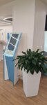Детская городская поликлиника № 130, филиал № 1 (Sovetskaya Street No:2), çocuk poliklinikleri  Moskova'dan