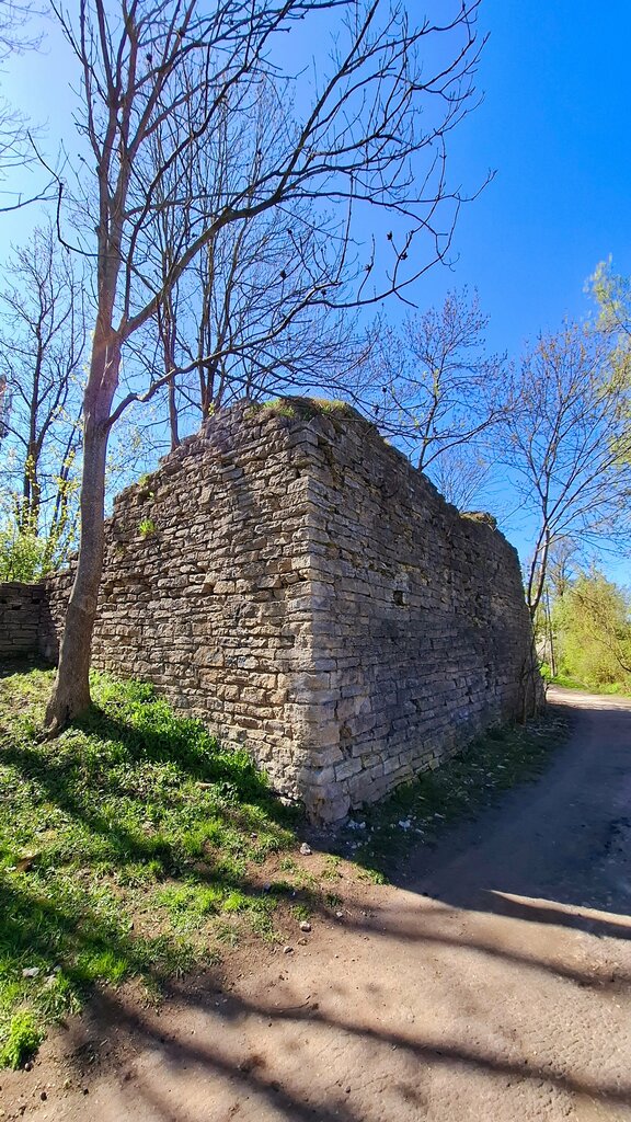Turistik yerler Волковская башня Окольного города, Pskov, foto