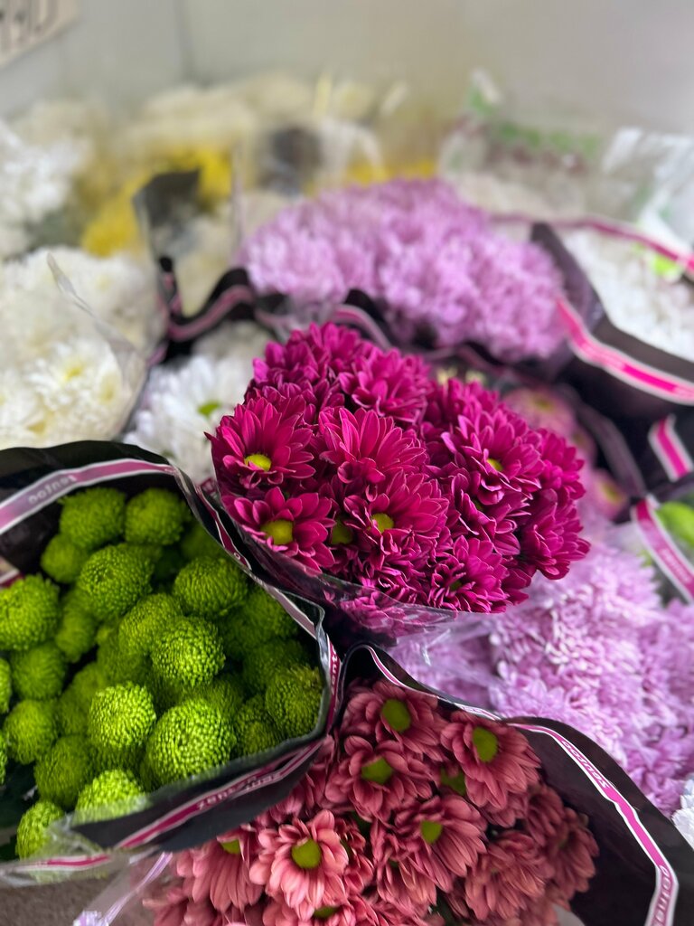 Çiçekçiler Флорист, Kineşma, foto