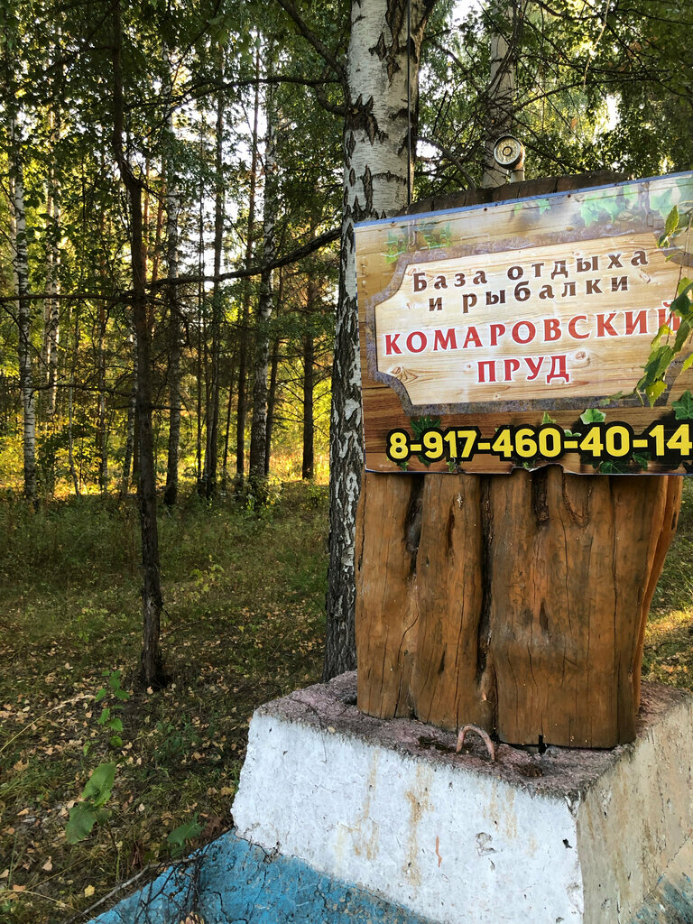 Resort oteller, tesisler Комаровский пруд, Udmurtiya, foto