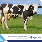 Yem-Vit Vitaminli Yem Katkı Maddeleri (Kuyucak Köyü, Kızılçakır Köyü Mevkii, No:204/1, Kemalpaşa, İzmir), yem ve yem katkı maddeleri  Kemalpaşa'dan
