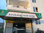 Avokado alım satım noktası (Güneyli Cad., No:14, Alanya, Antalya), manavlar  Alanya'dan