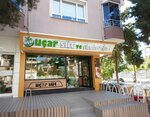 Uçar Süt ve Süt Ürünleri (Balıkesir, Altıeylül, Bahçelievler Mah., Teknik Lise Cad., 28/A), süt ürünleri satış mağazaları  Balıkesir'den