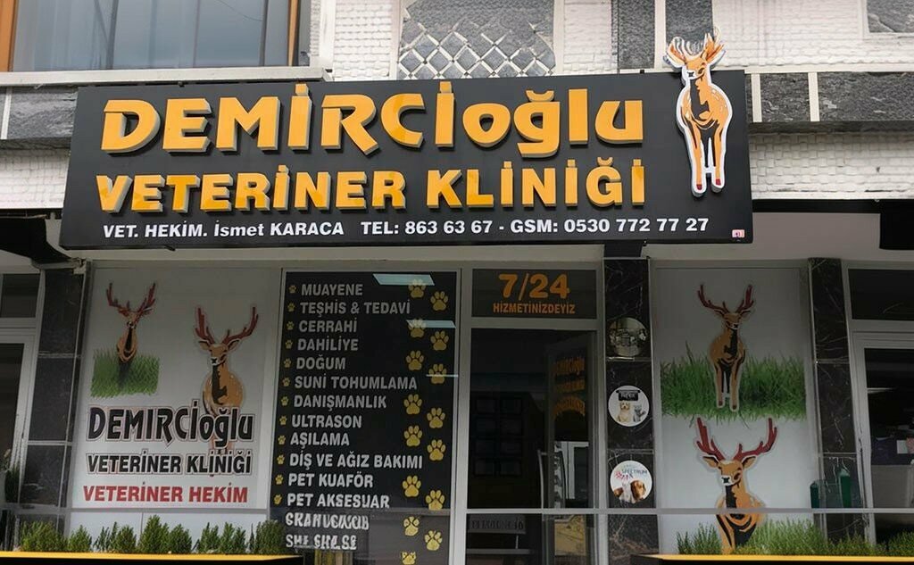 Veteriner klinikleri Demircioğlu Veteriner Kliniği, Elmadağ, foto