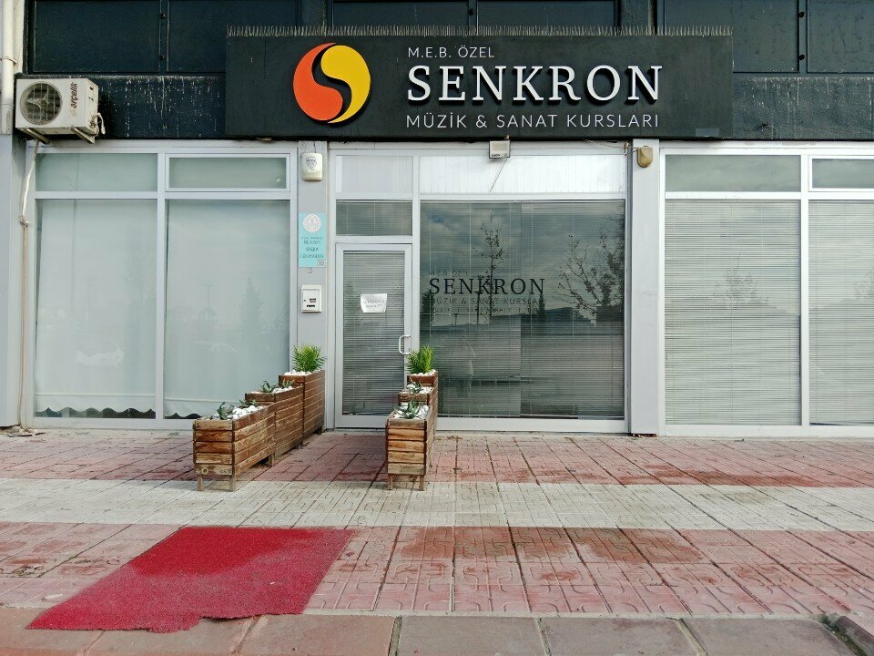 Müzik okulları ve konservatuarlar M. E. B Özel Batıkent Senkron Müzik ve Sanat Kursu, Ankara, foto