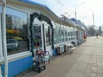 Цветы (Stavropol Territory, Nevinnomyssk, Tsentr), çiçekçiler  Nevinnomissk'ten