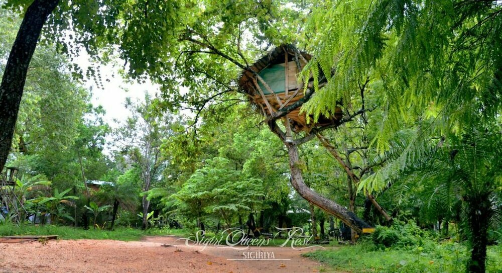 Otel Tree house sigiri queens rest, , foto