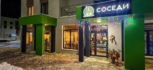 Соседи (ulitsa Borisa Zhitkova No:3), kafe  Troitsk'ten