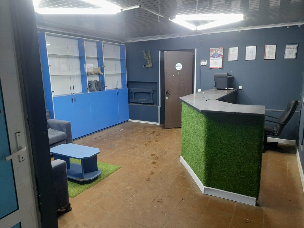 Oto yıkama Автомойка, İvanovskaya oblastı, foto