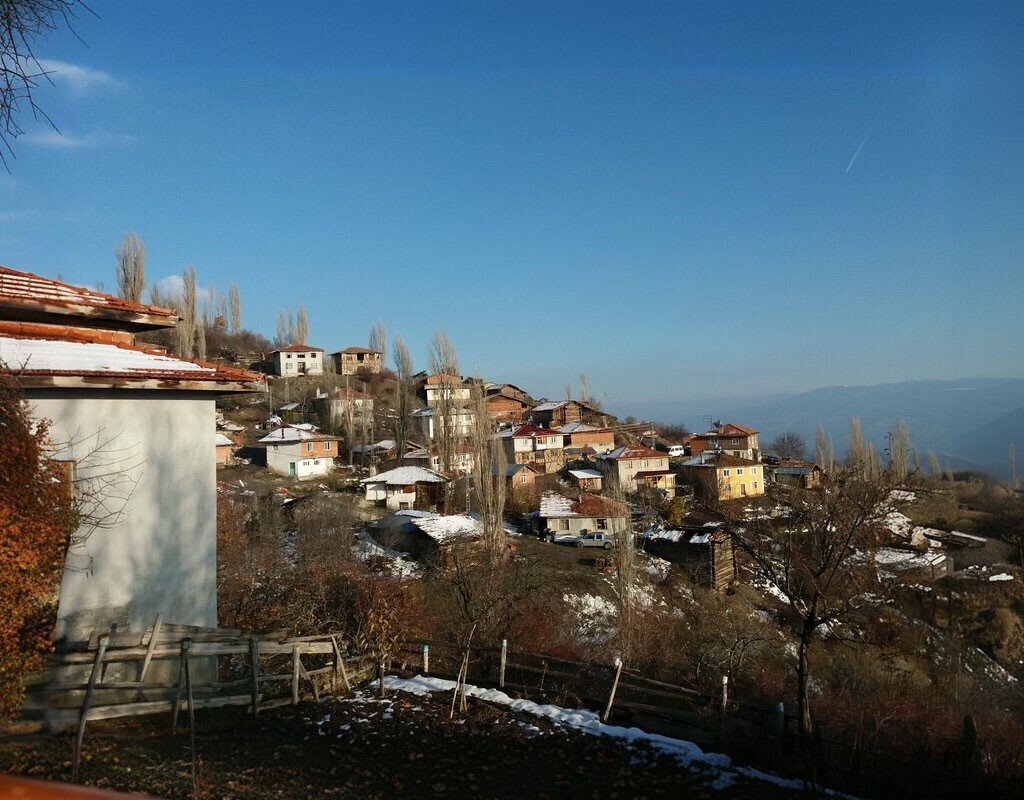 Muhtarlıklar Çeltikçi Köy Muhtarlığı, Tosya, foto