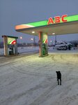 Tatneft' (Samara Region, Volzhskiy rayon, selskoye poseleniye Dubovy Umyot, selo Dubovy Umyot), benzin istasyonu  Samarskaya oblastından