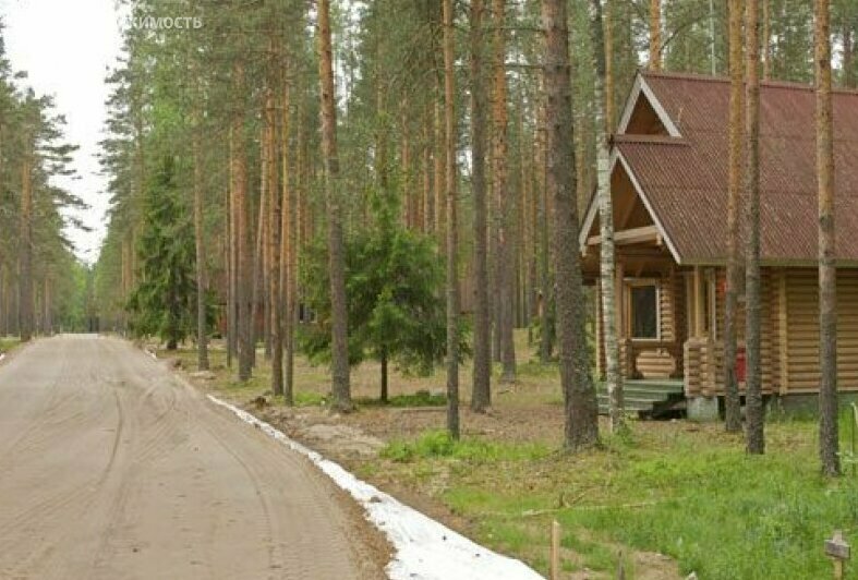 Yazlık yerleşim Ягодное, Saint‑Petersburg ve Leningradskaya oblastı, foto