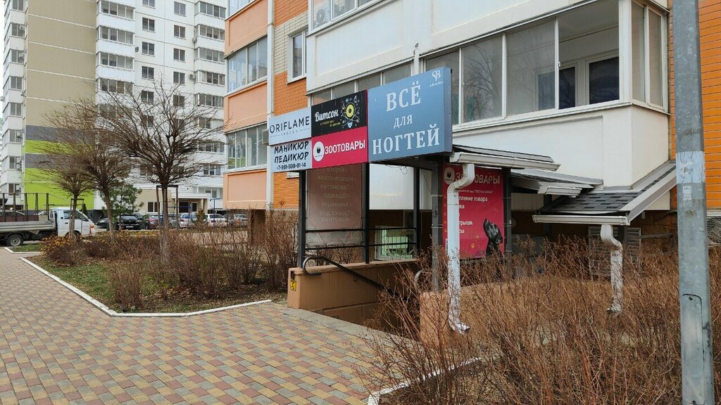 Özel ders hizmetleri Витсон, Krasnodar, foto