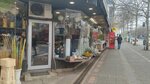 Flora Viola (Pecska Street No:57), çiçekçiler  Belgrad'dan