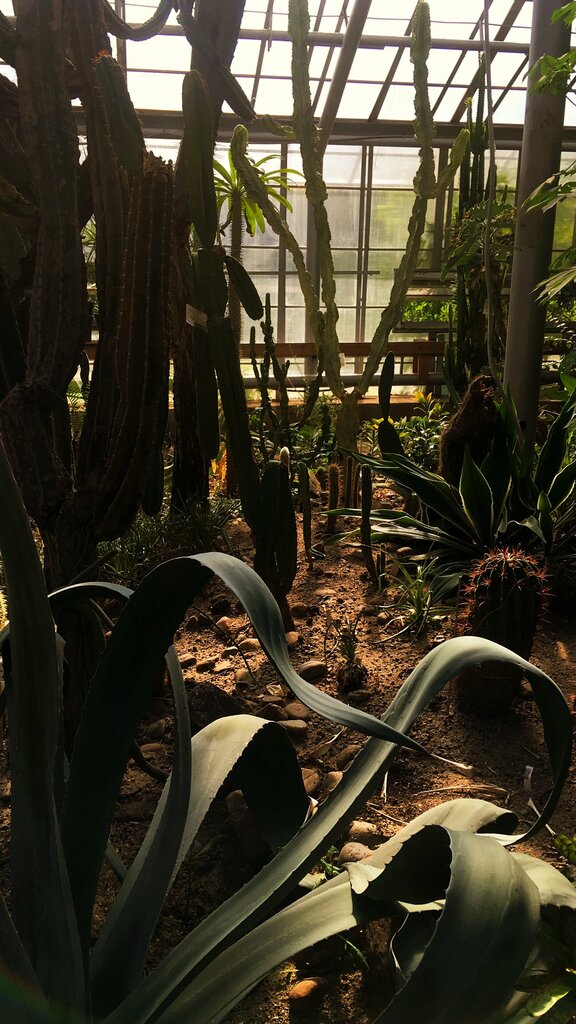 Bahçe Ботанический сад Игу, Irkutsk, foto