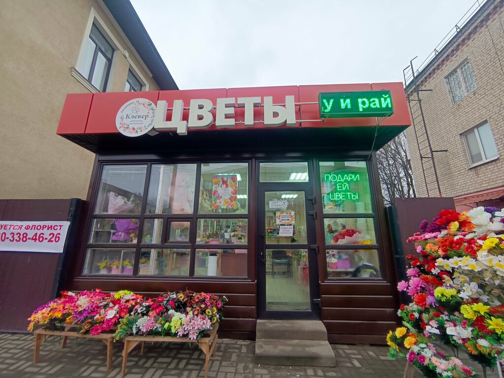 Çiçek teslimatı Klever, Klintsy, foto
