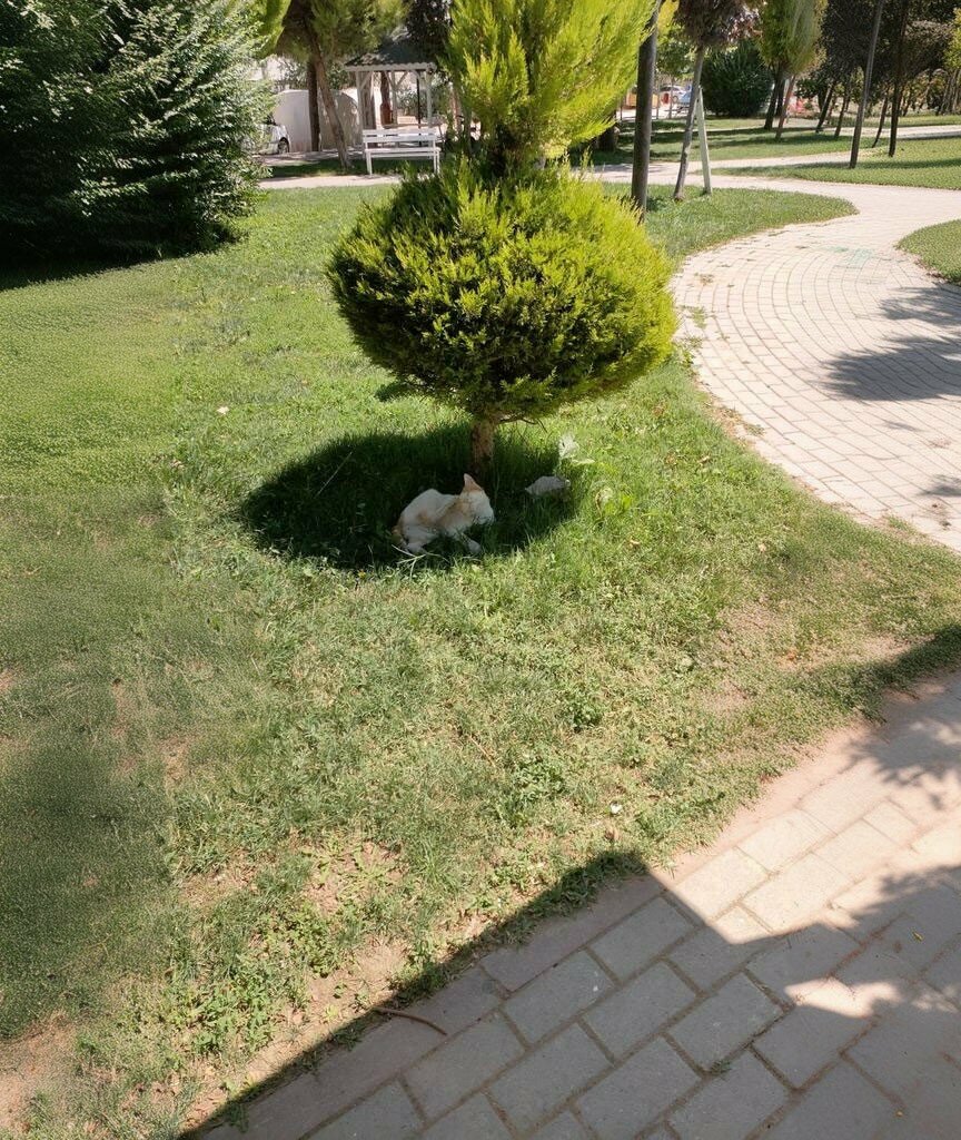 Kültür ve eğlence parkları Üçgen Park, Korkuteli, foto