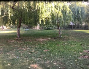 Piknik alanı Şelale Mesire Yeri, Pazar, foto