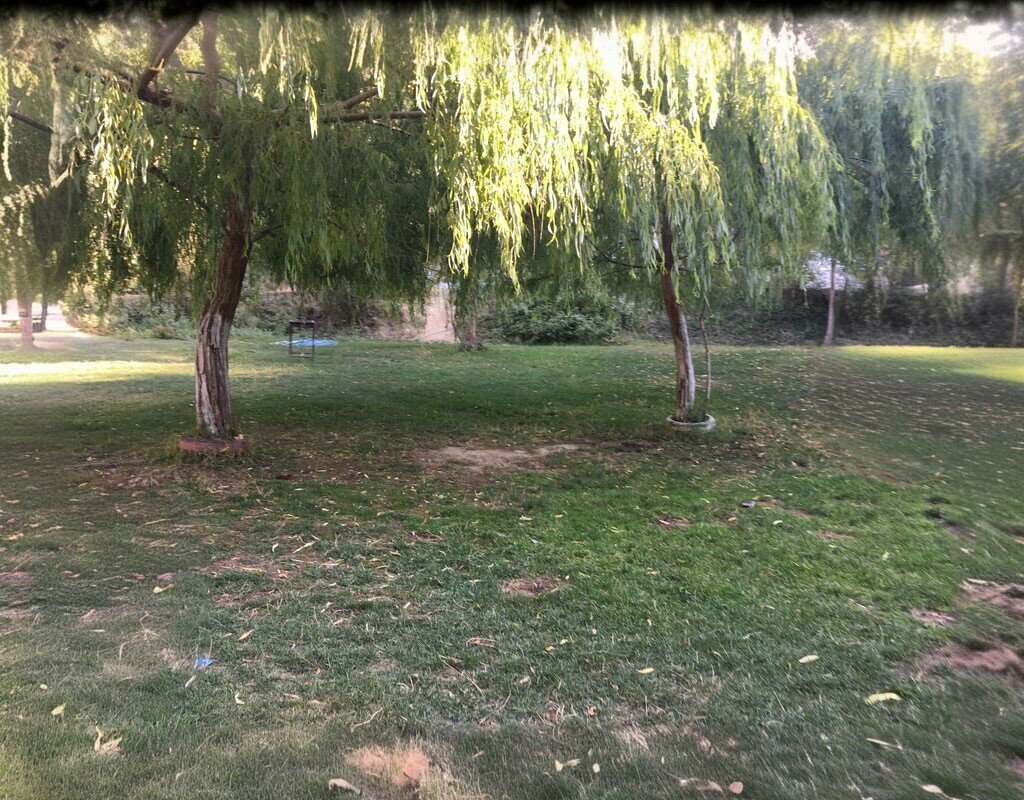 Piknik alanı Şelale Mesire Yeri, Pazar, foto