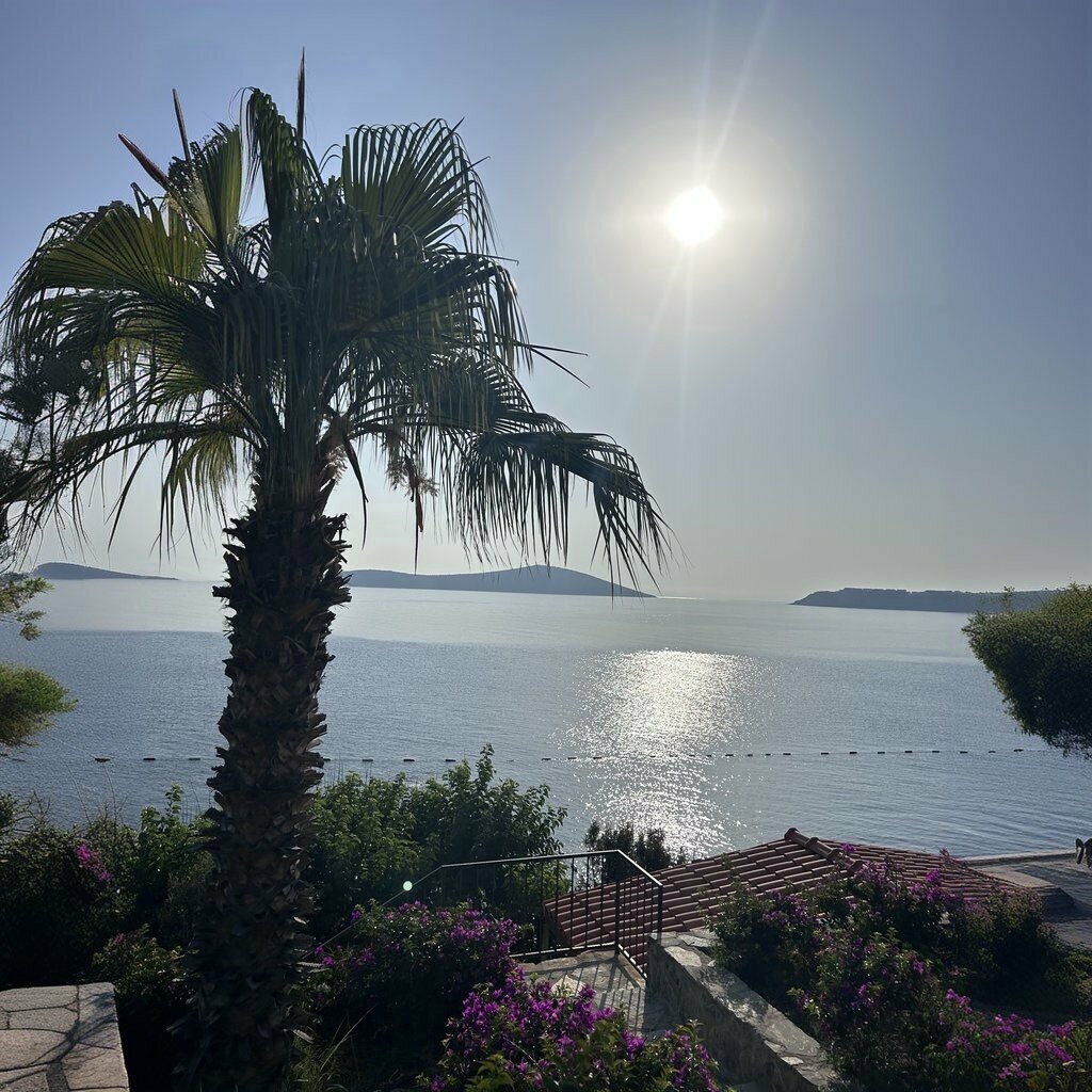 Konut blokları Palm Residences Gündoğan, Bodrum, foto