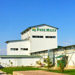 Pure milky (Yangi Qoylik street No:18), toptan süt ürünleri  Taşkent'ten