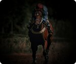 JSR Equestrian Club (Al Rowaiyah Third, Al Awir, Dubai), at ve binicilik kulüpleri