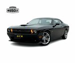 Optimum Car Rental (58, 9 Street, Nadd Al Hamar, Ras Al Khor, Dubai), oto kiralama