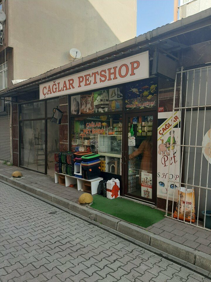 Petshop Çağlar Petshop, İstanbul, foto