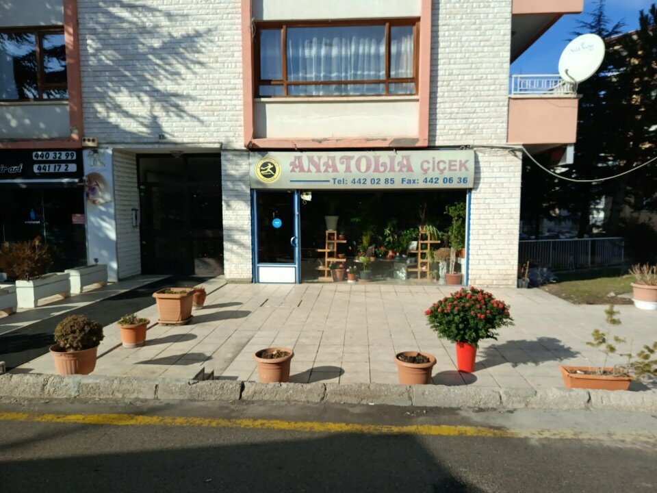 Çiçekçiler Anatolia Çiçek, Ankara, foto