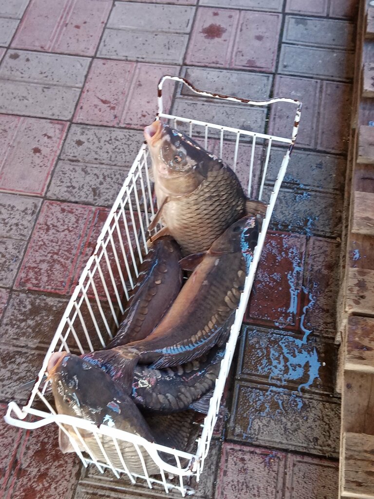 Market Рыбное Место, Stavropolski krayı, foto