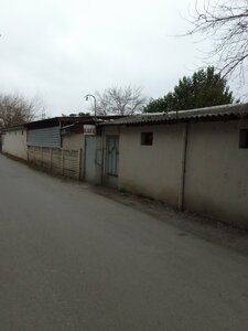 Kafe (Mingachevir), kafe  Mingeçevir'den