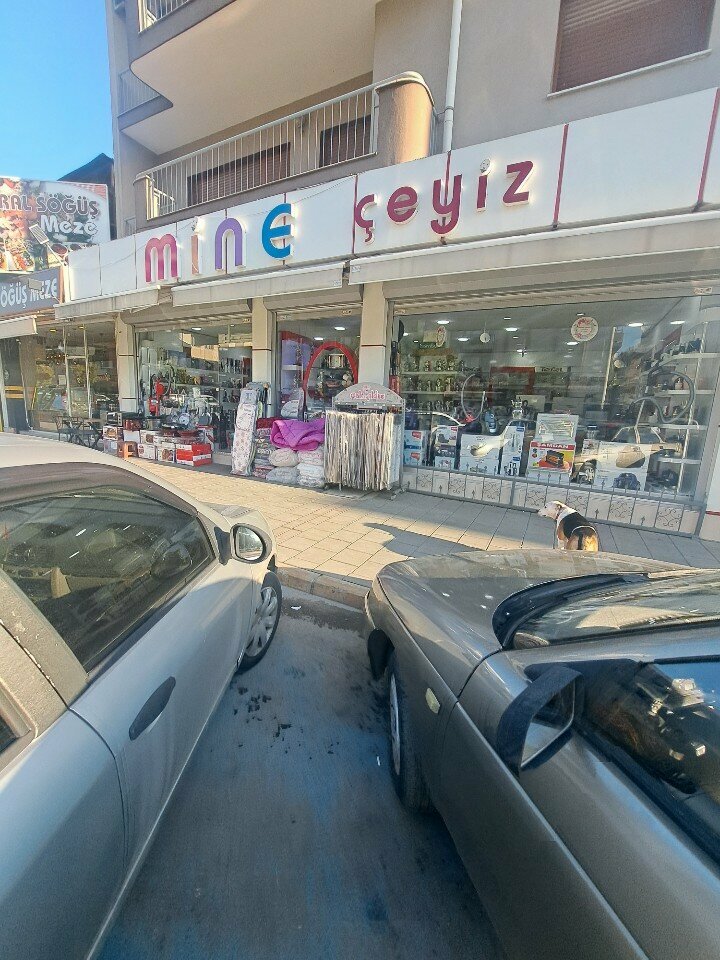 Medikal cihaz firmaları Mine Çeyiz, İzmir, foto