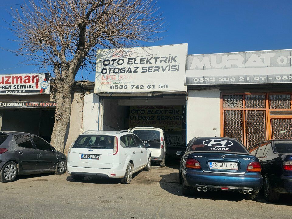 Otomobil servisi Dağlı Otogaz Oto Elektrik, Konya, foto