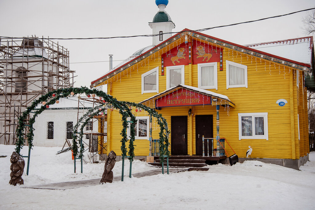 Çocuklar için kutlama organizasyonları Дом-театр Петрушки, Vologda, foto