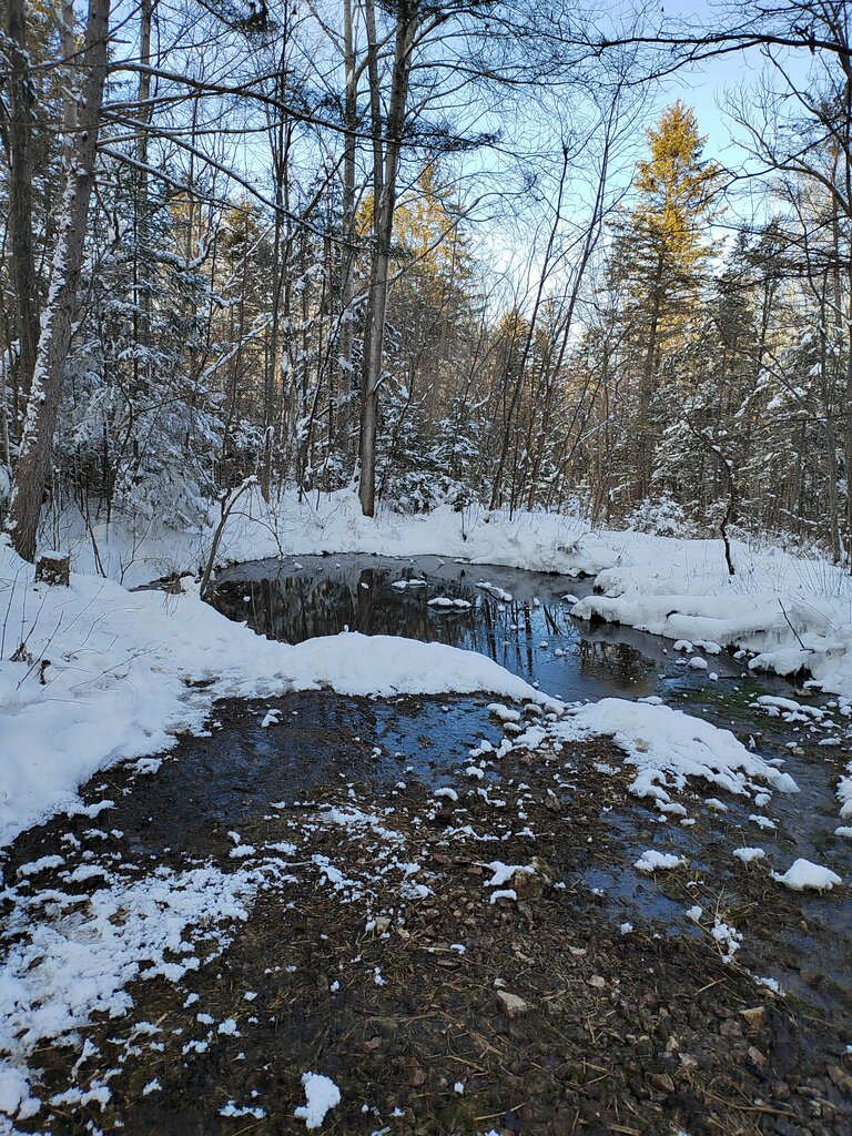 Pınar, çay Теплый источник в Вяземском районе, Habarovski krayı, foto