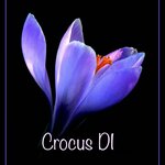 Crocus Di (Kozhevnicheskaya Street No:7с1), çiçekçiler  Moskova'dan