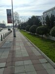 5803 Biruni Üniversitesi 1 İsbike (İstanbul, Zeytinburnu, Kazlıçeşme Mah., 10. Yıl Cad.), bisiklet kiralama  İstanbul'dan