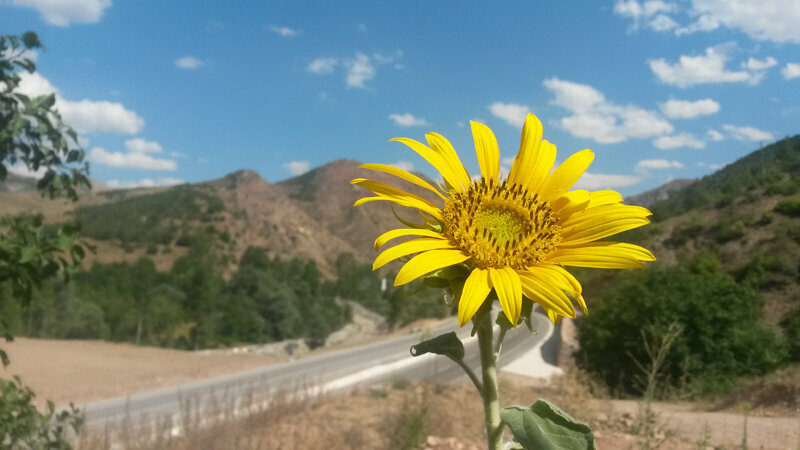 Sosyal yardım kuruluşları Gümüşhane İli Akgedik Köyü Sosyal Yardımlaşma ve Dayanışma Derneği, Silivri, foto