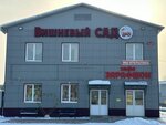 Зарафшон (30 Let VLKSM Street No:32Ас1), kafe  Nazarovo'dan