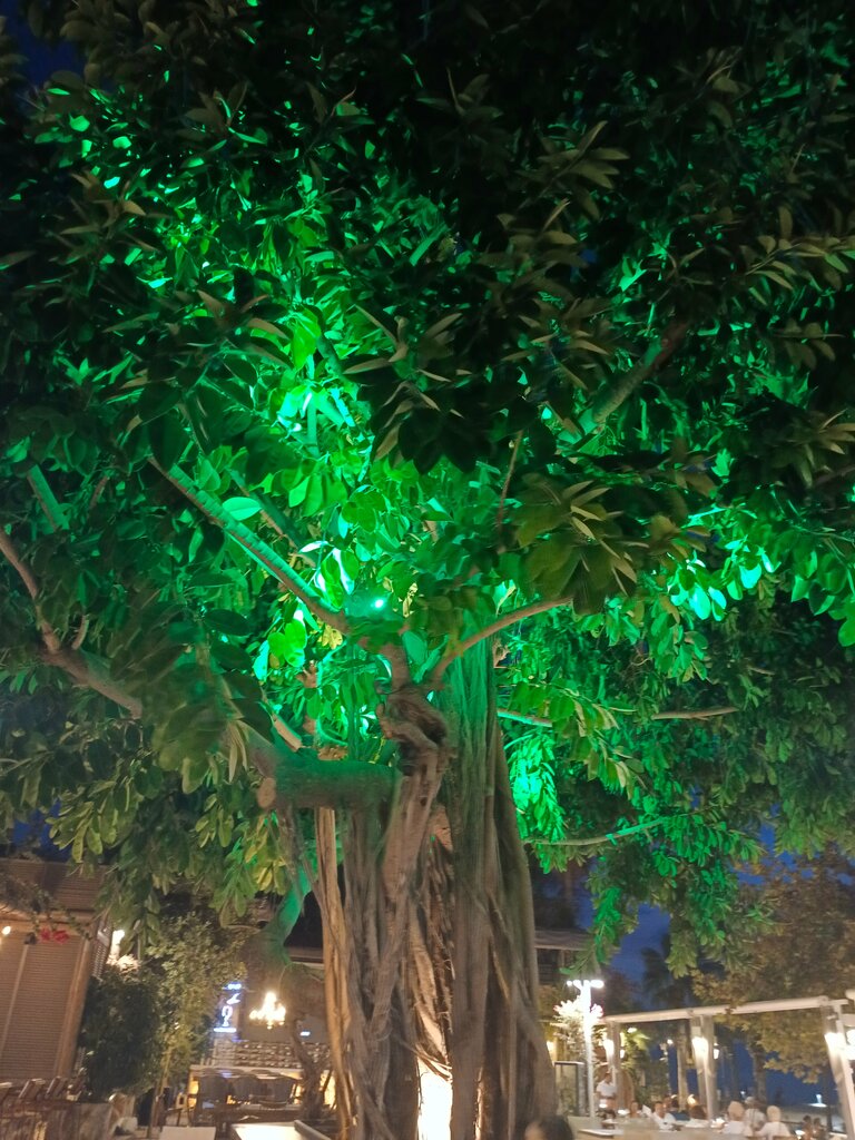 Bar Sorgun Titreyen Göl Plajı, Manavgat, foto