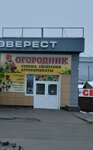 Огородник (Kommunalnaya Street No:21Ас10), tohum satan yerler  Tambov'dan