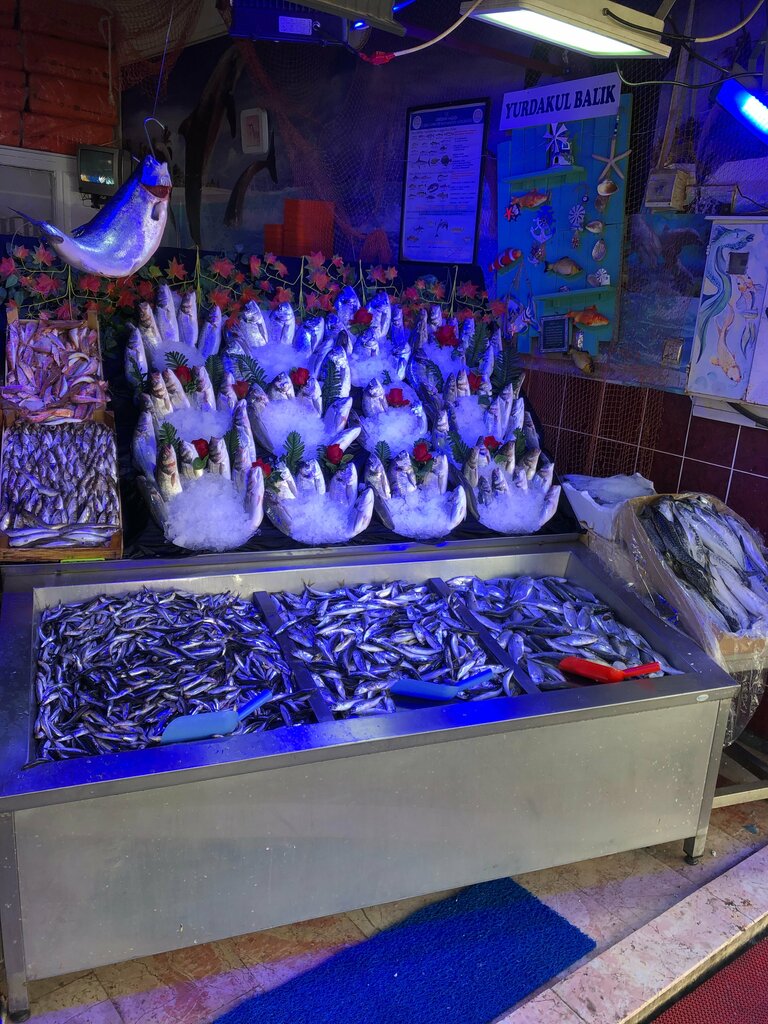 Balık ve deniz ürünleri Yurdakul Balık, Eskişehir, foto